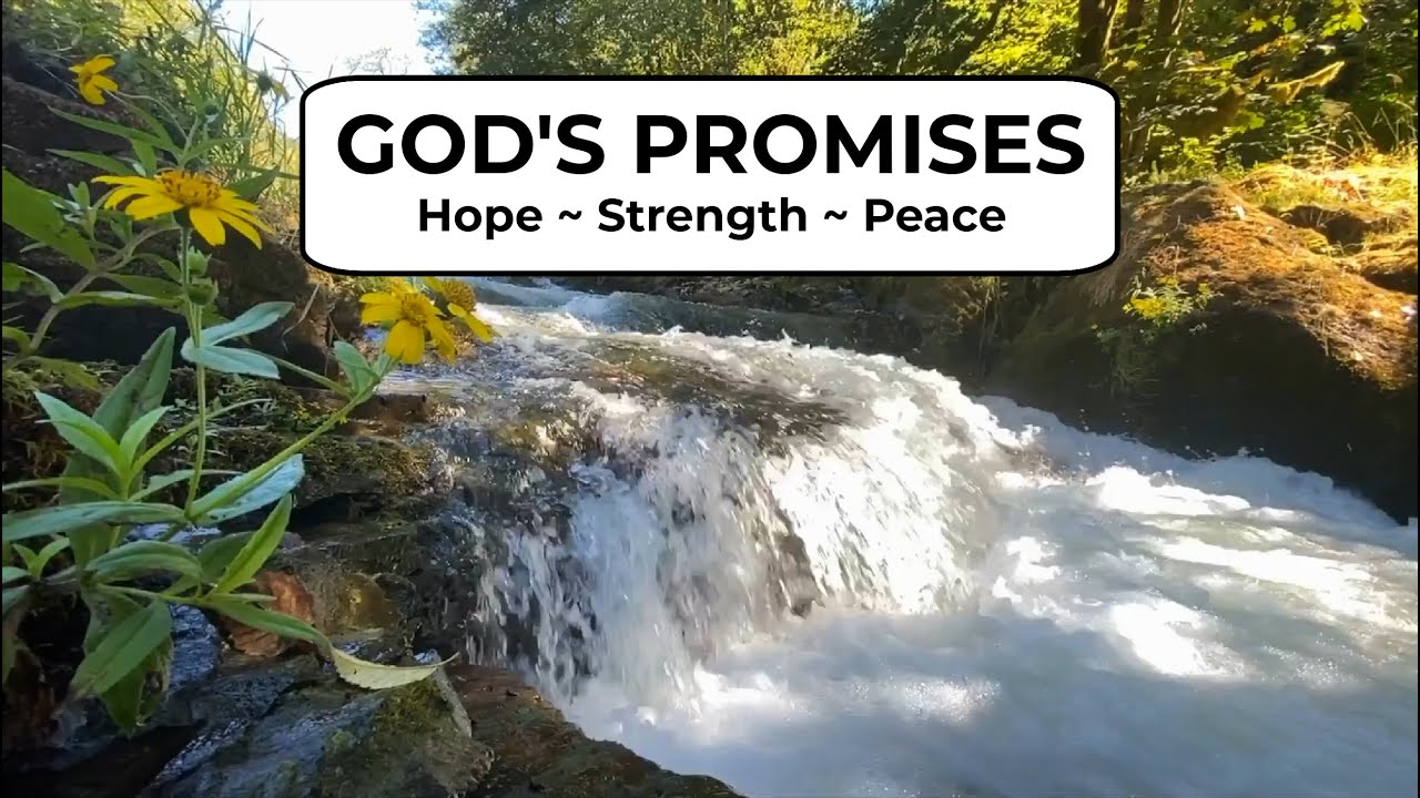 GOD'S PROMISES | 5 MINUTES TO MORE HOPE, STRENGTH, ENCOURAGEMENT ...