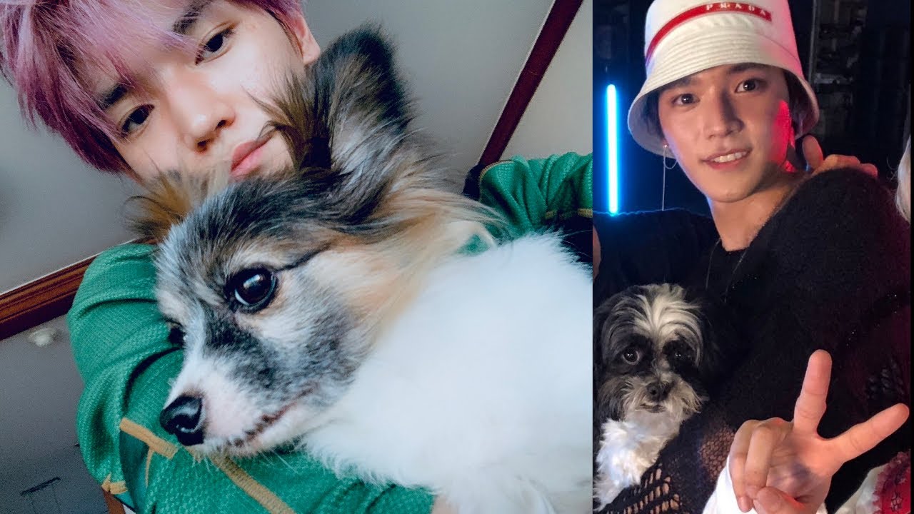 "Rest in Heaven Ruby" - Memories of Ruby with Taeyong - 태용과 루비의 추억 ...