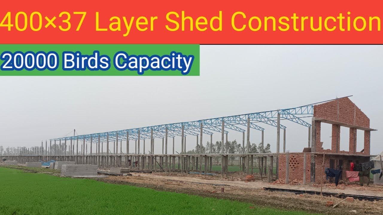20000k Birds Capacity Layer Shed Construction|KS Poultry| - YouTube
