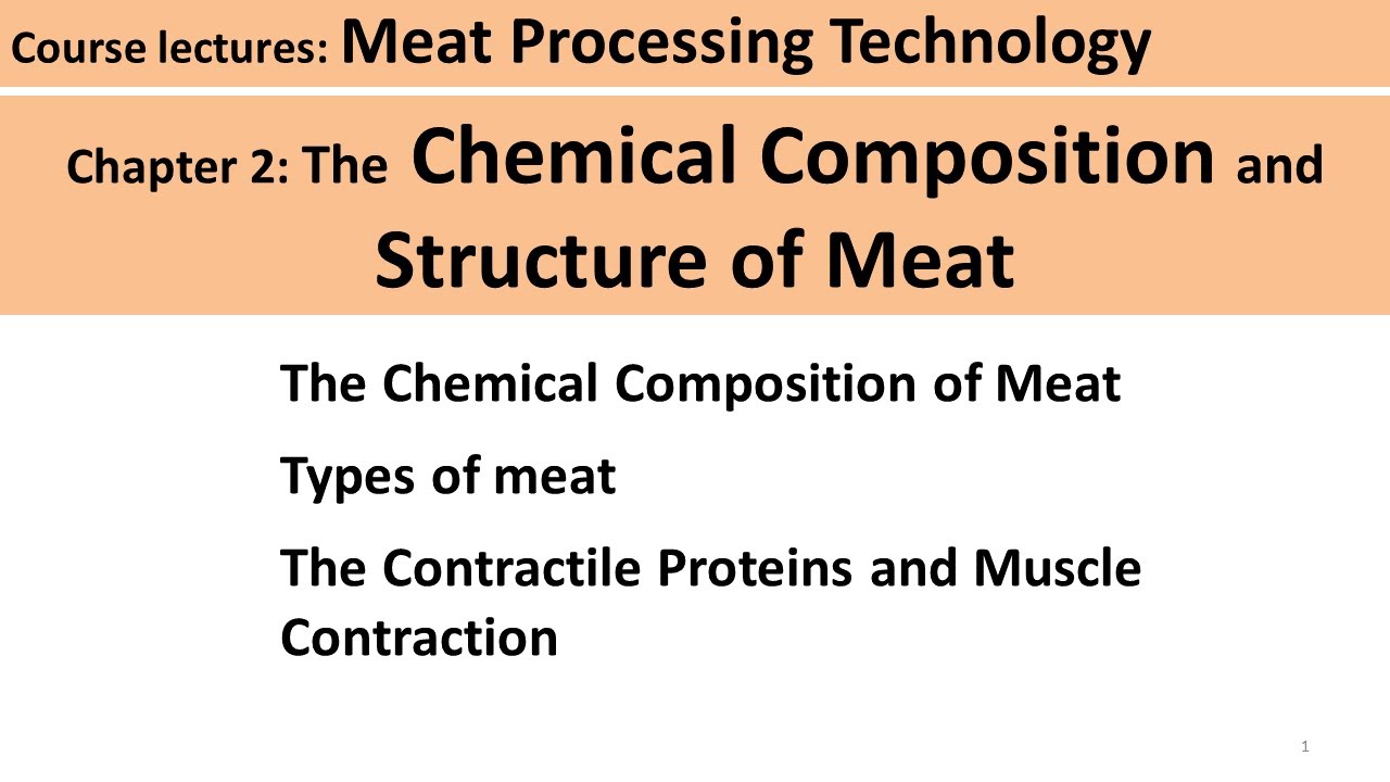 C2-01 meat composition| Meat Technology - YouTube
