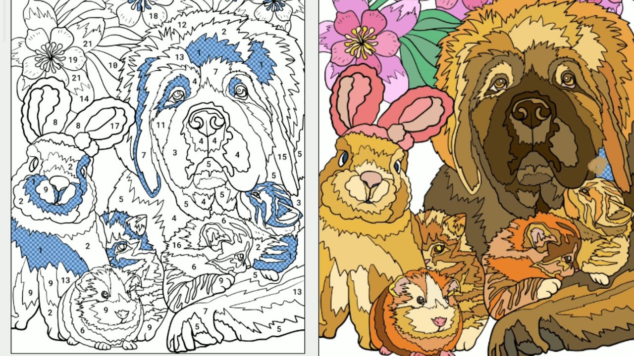 Coloring pages. Color by number DOG#59 - YouTube