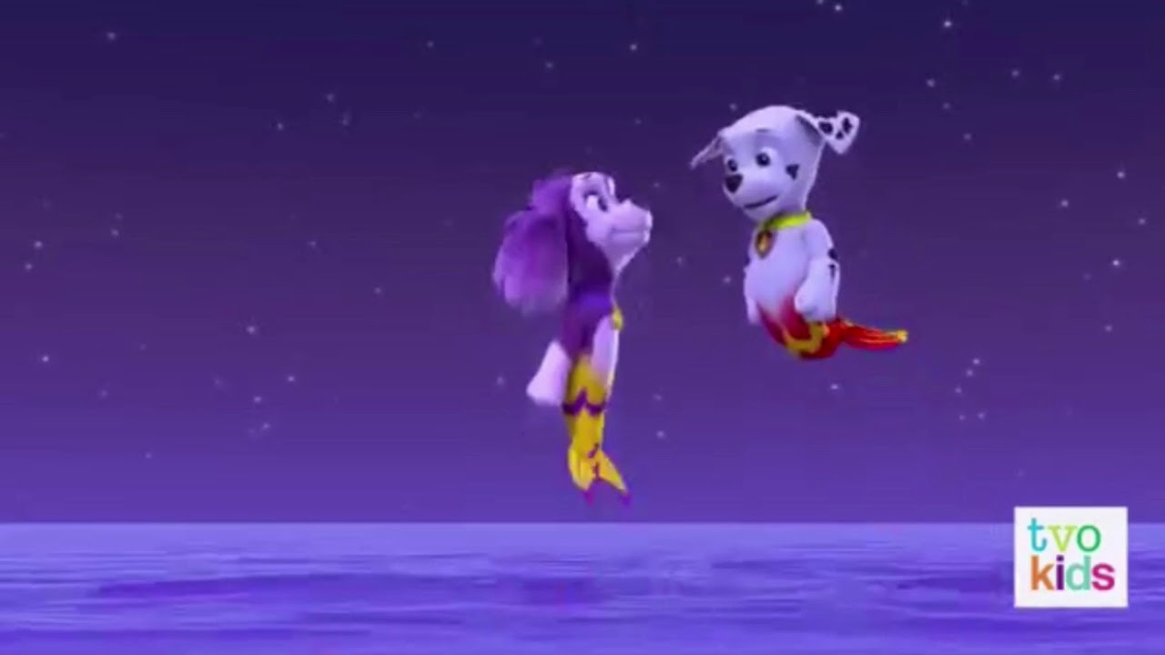 Merpup Tribute Part 7 “rd” - YouTube