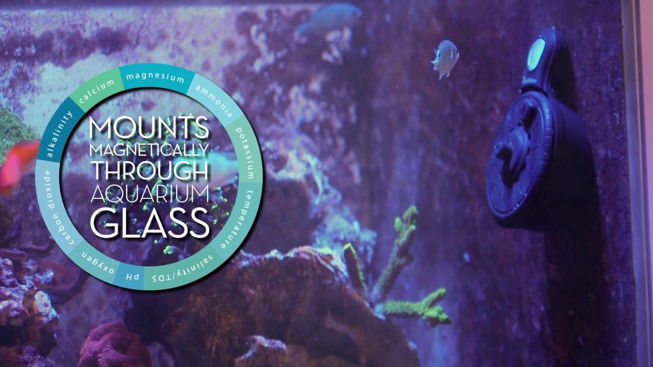 Mindstream Aquarium Monitor - YouTube