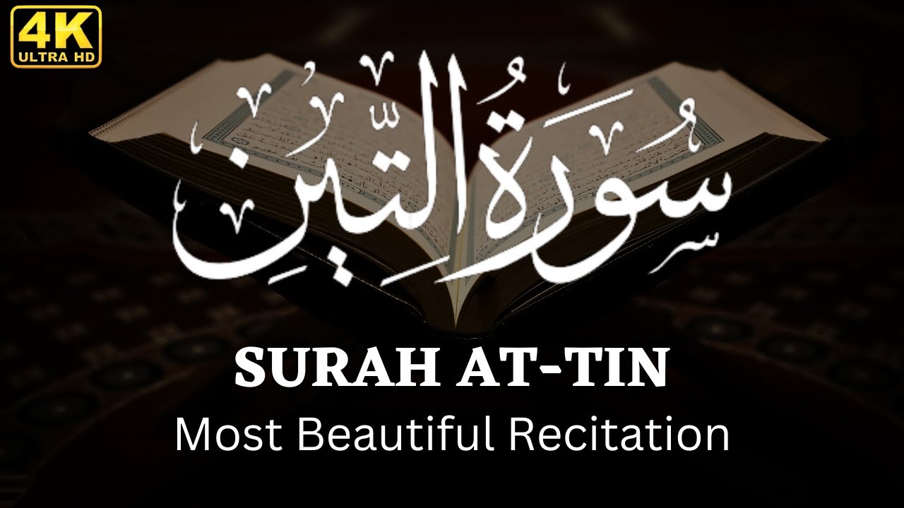 Surah 95 | Surah Tin | Most Beautiful Heart Touching Recitation of ...