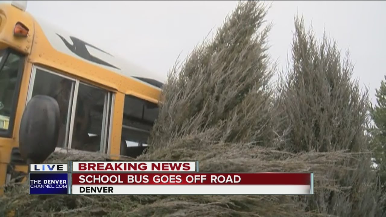School bus slides off road and crashes into trees - YouTube