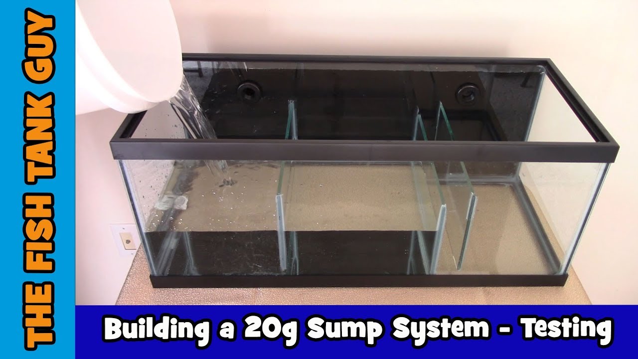 Building A 20G Sump System (Testing) - YouTube