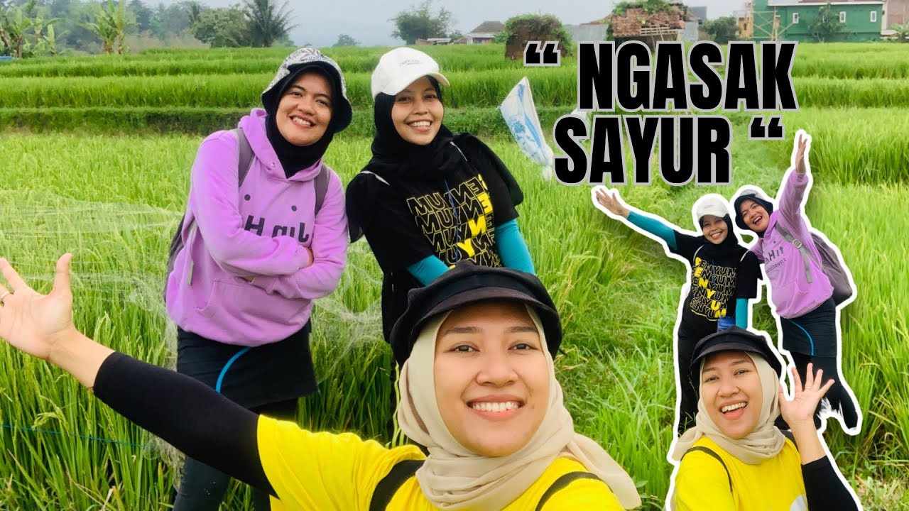 Hama ( Sayur Genjer ) Bisa Di Makan - YouTube