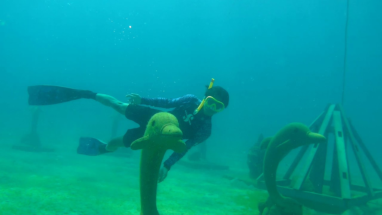 Freediving: Playa La Caleta (Dolphin-artificial coral reef site) w ...