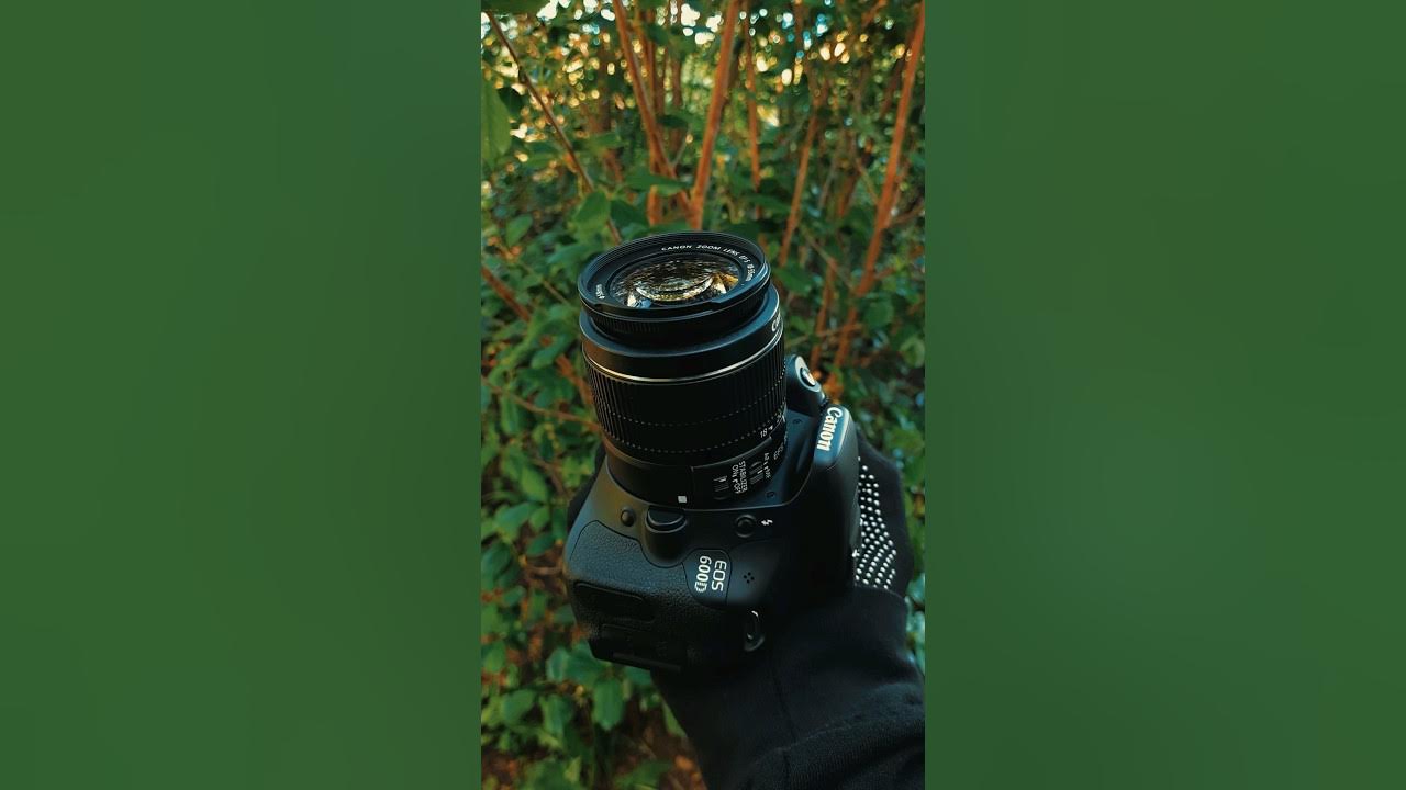 Shot a beautiful dandelion with a Canon 600D - YouTube