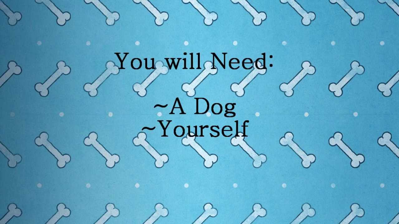 Dog Talk Spell - YouTube