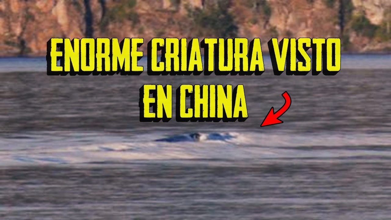 ENORME CRIATURA CAPTADA EN CHINA , MONSTRUO DE TIANCHI - YouTube