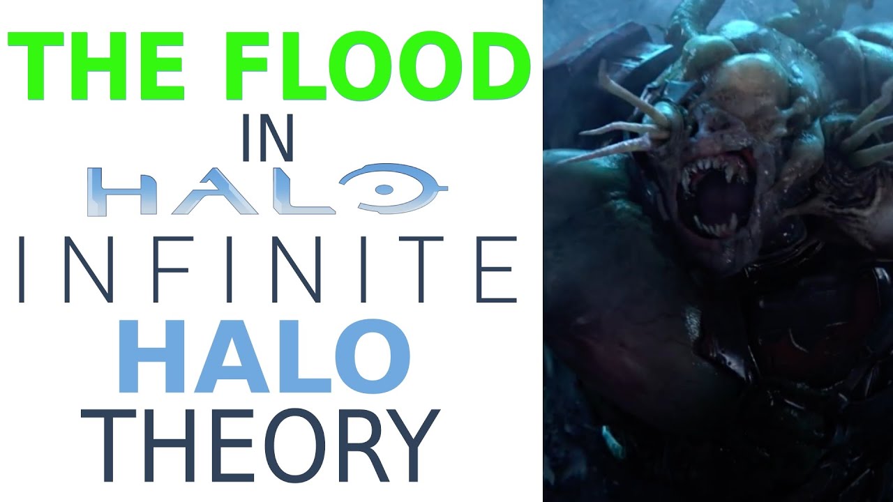 The Flood in Infinite | Halo Theory - YouTube