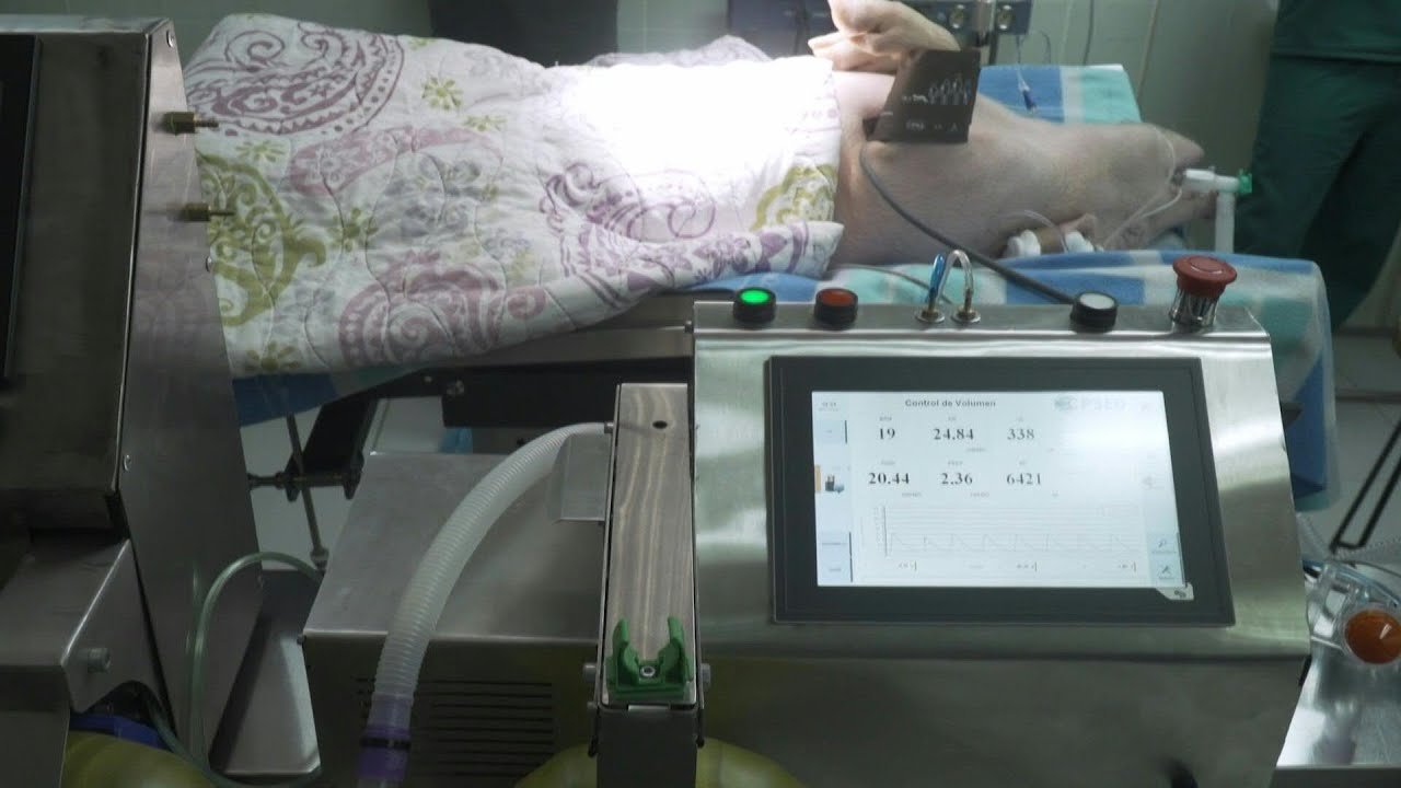 Ventilator prototypes tested on pigs to help fight Covid-19 in Panama ...