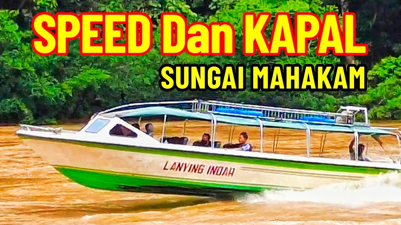 Speed Dan Kapal Mahakam Transportasi Andalan Di Sungai Mahakam