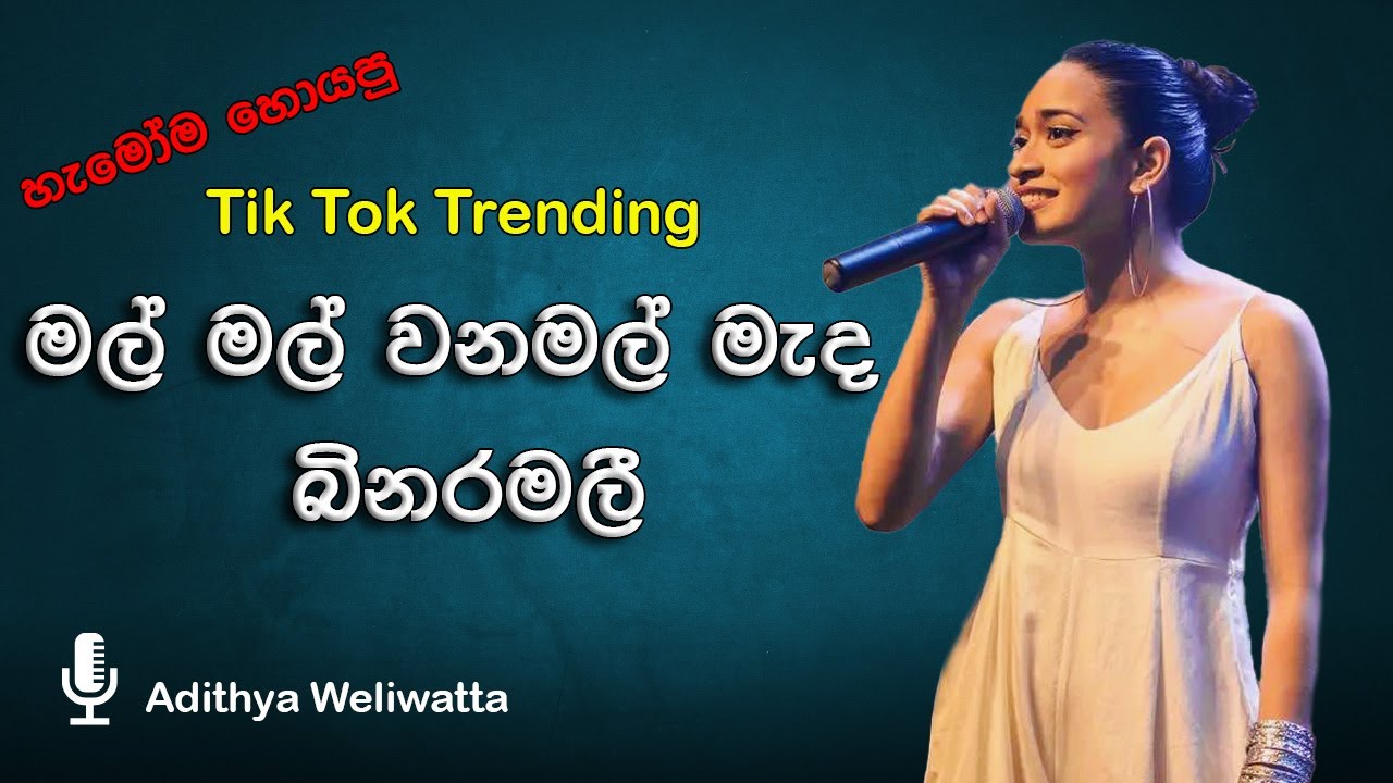 Mal mal wana mada| මල් මල් වන මැද බිනර මලී | full song | adithya ...