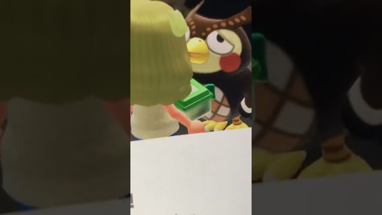 Why is blathers scared of bugs! - YouTube