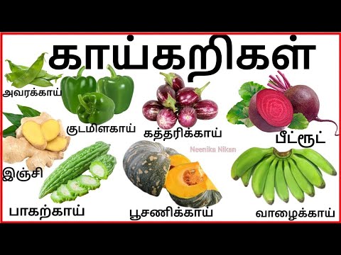 காய் காய்கறிகள் | Learn vegetables names in Tamil for kids and children ...