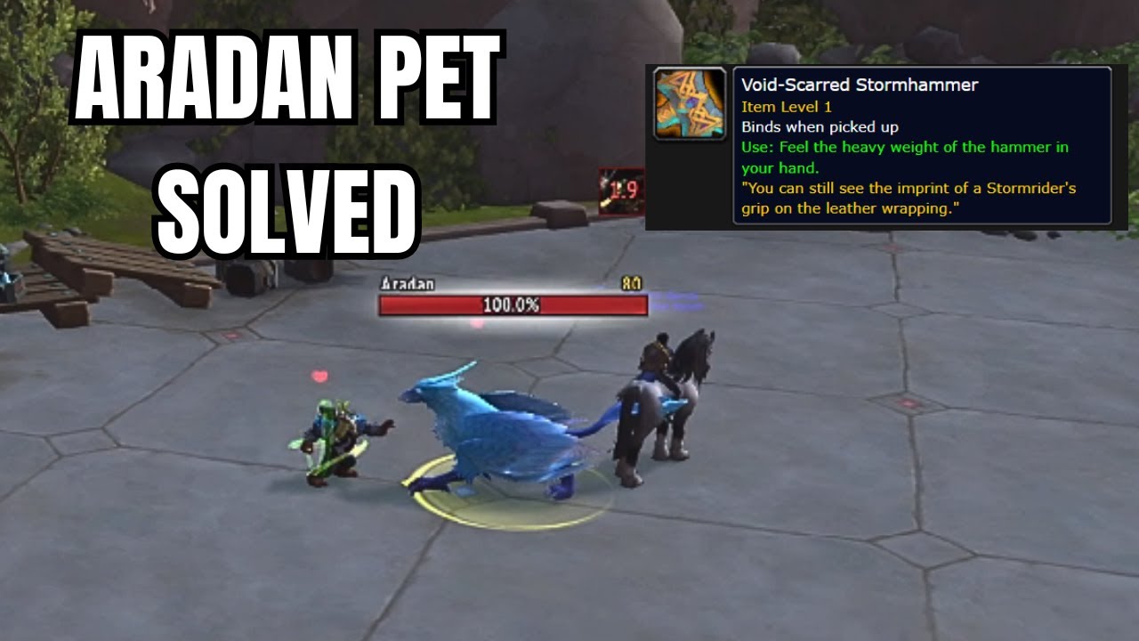 Aradan Pet - Void Scarred Stormhammer Guide - YouTube