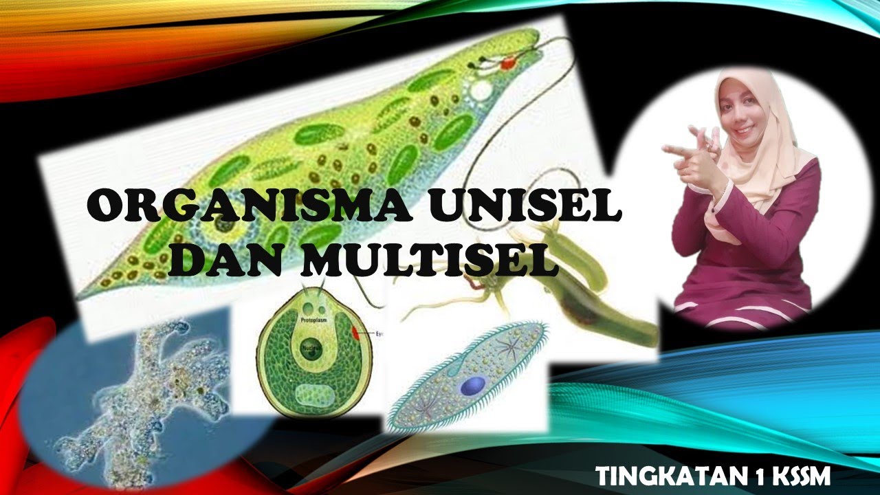 ORGANISMA UNISEL DAN MULTISEL TING 1 KSSM - YouTube