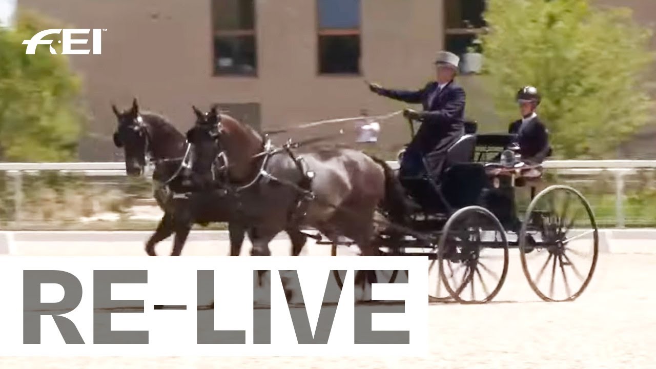 RE-LIVE | Marathon - FEI Driving World Championships for Pairs - YouTube