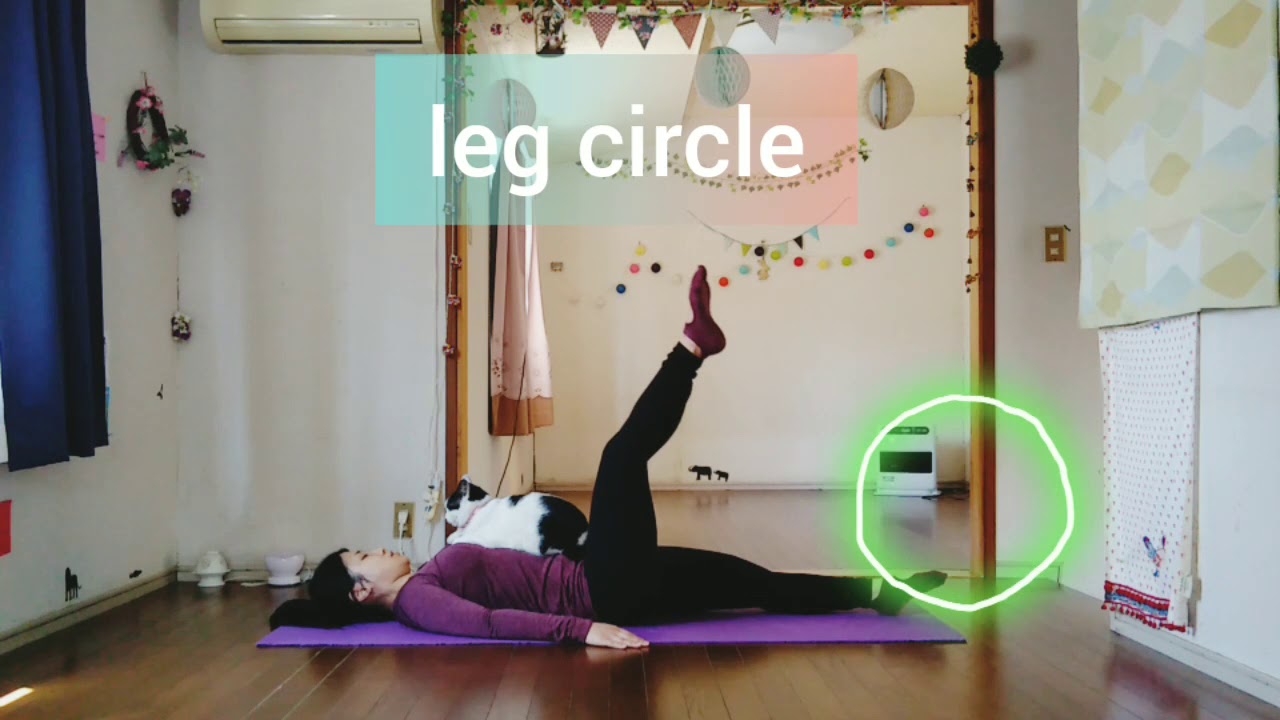 Pilates with cats 10minute ピラティス 猫 - YouTube