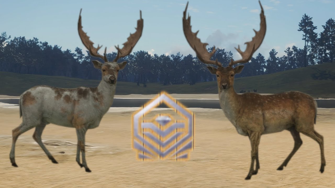 TheHunter: COTW PS5 Diamond and rare highlights #25 - YouTube