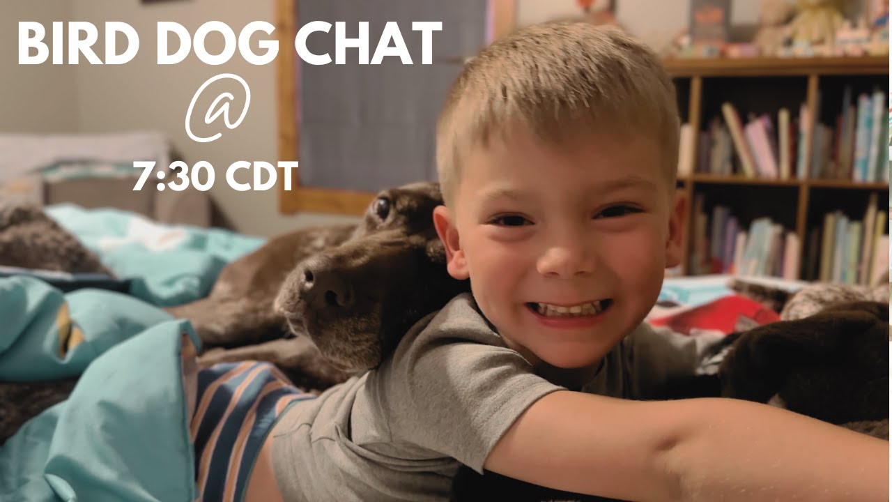 Kids & Dogs: Real Life Struggles & How To Work Through Them - Bird Dog ...