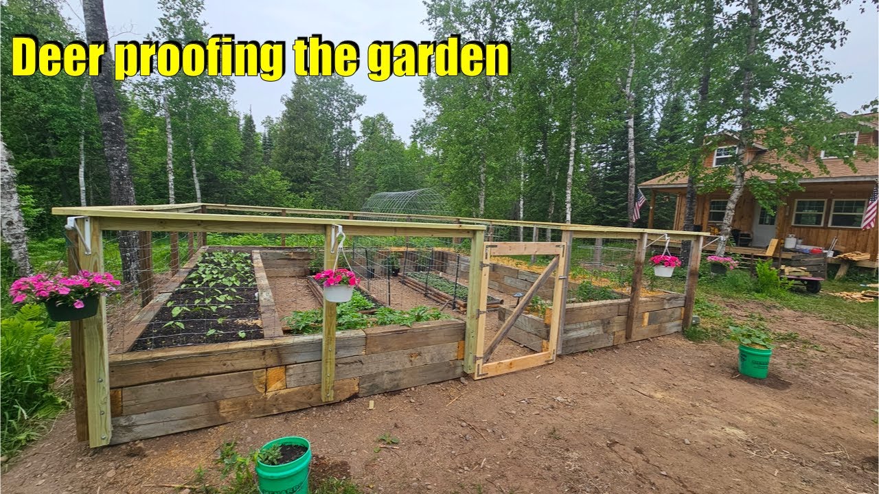 How to deer proof a raised bed garden - YouTube