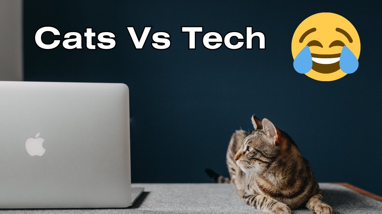 Cats Vs Technology 😹💻 | The BEST Hilarious Cat Compilations On YouTube ...