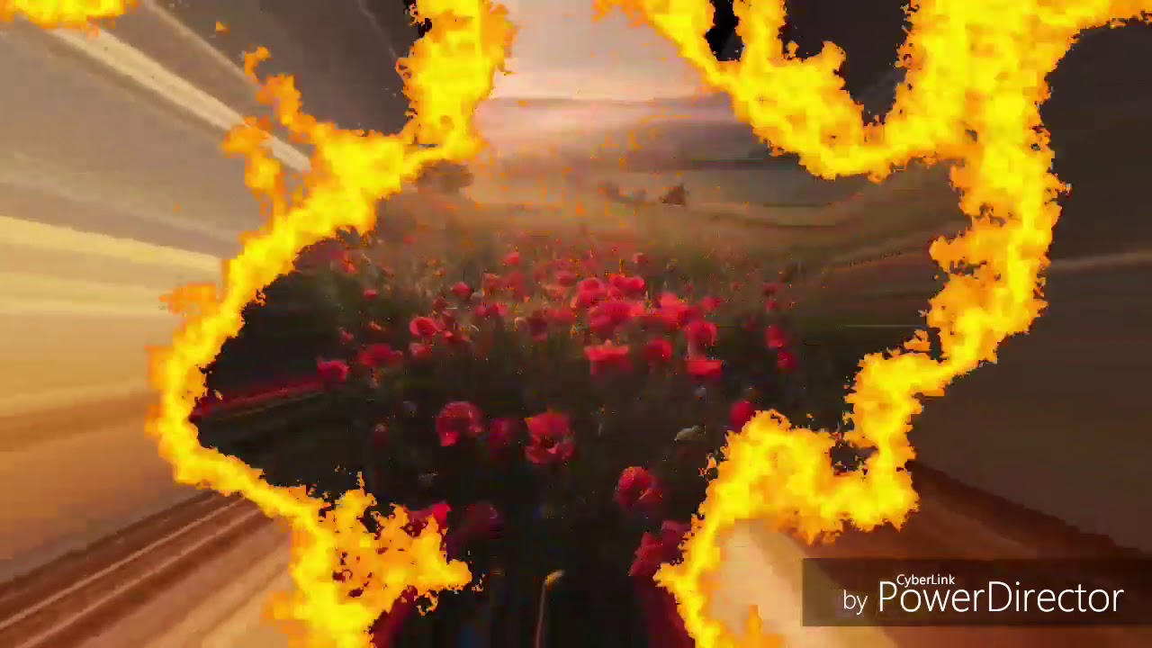 Numbers 14, 28: Say unto them, As truly as I live, saith the LORD, as ...