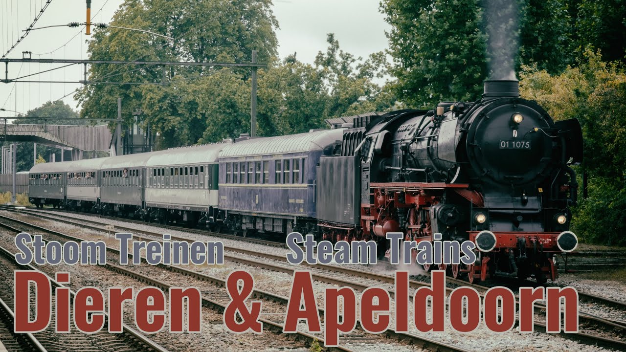 Terug naar Toen - Veluwsche Stoomtreinen - Dieren en Apeldoorn - YouTube
