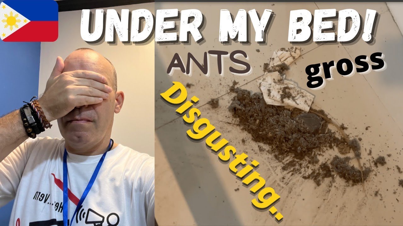 Cleaning up my Apartment Mess, So Gross!! - YouTube