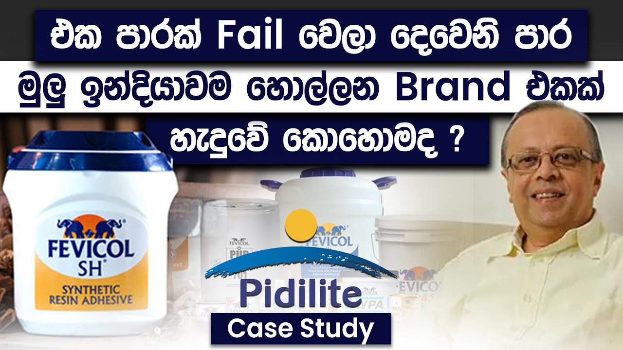 How To Convert Failure To Success | Pidilite Case Study | Simplebooks ...
