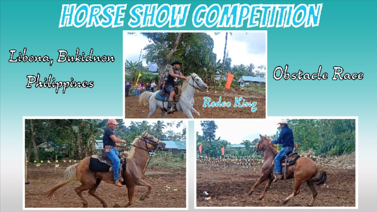 Horse Show | Obstacle Race | Expert Category | Rodeo King | Libona ...