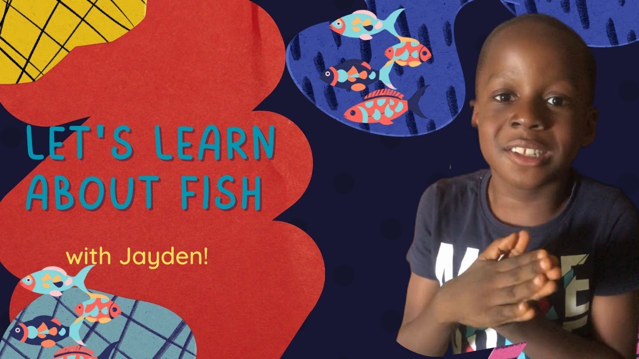 Types of FISH for KIDS with JAYDEN | Bony Fish | Cartilaginous Fish ...