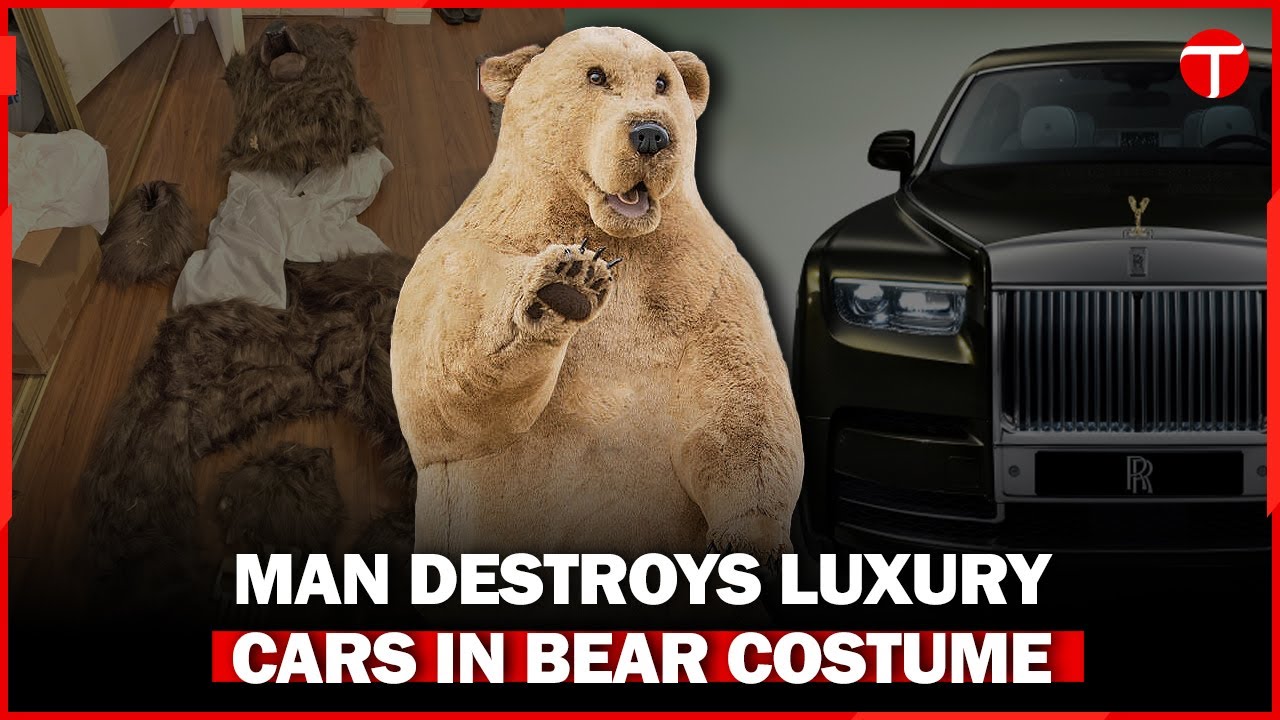 Fraudster Destroys Rolls Royce in Bear Costume to Claim Insurance - YouTube