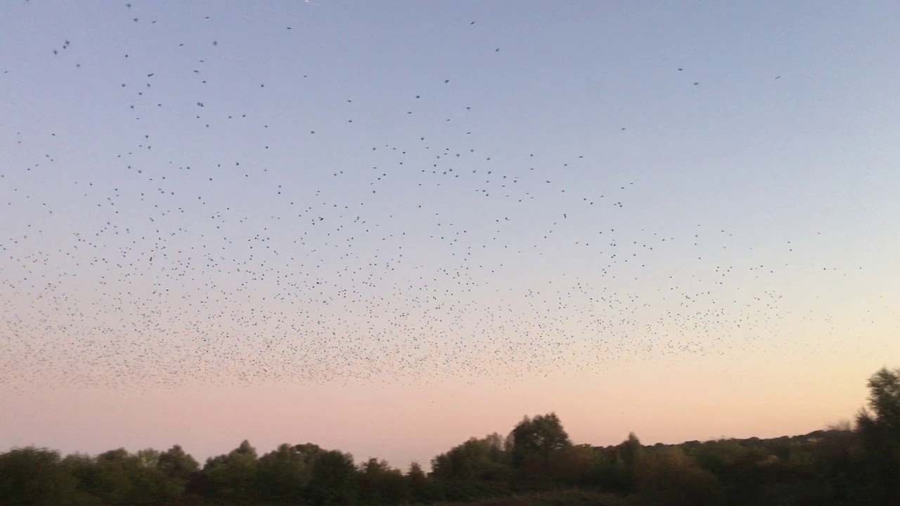 Star Schwarm Abflug 22_09_2019 / 1 - YouTube