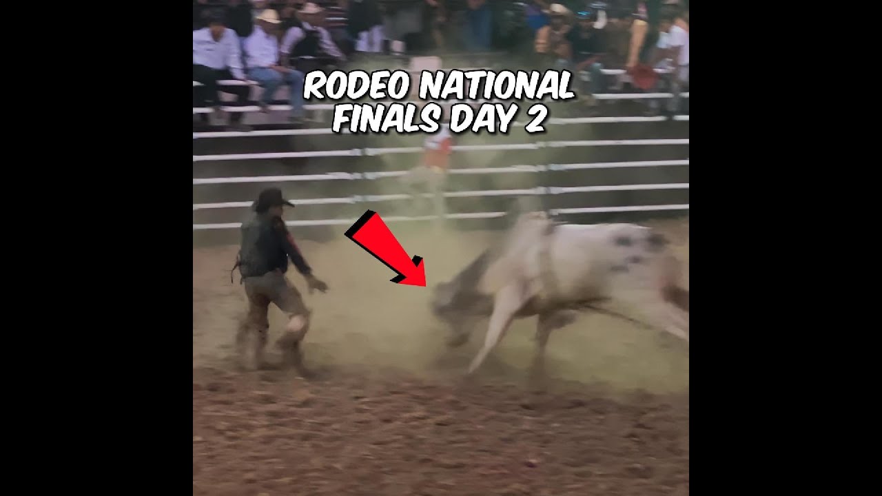 Rodeo National Finals Day 2 - Rodeo Masbateño Festival 2024 - YouTube