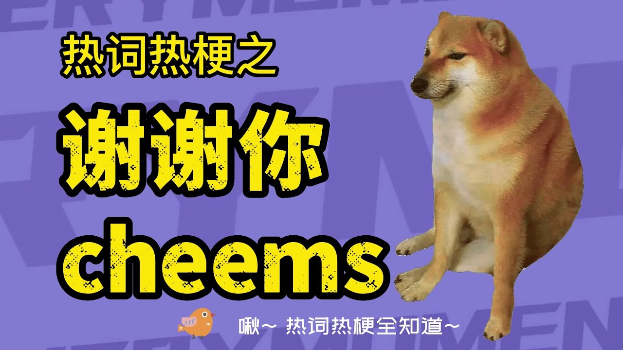 谢谢你cheems是什么梗？小狗拯救人类 - YouTube