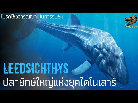 LEEDSICHTHYS ( ลีดส์อิชธีส์ ) ปลายักษ์แห่งยุคไดโนเสาร์ - YouTube