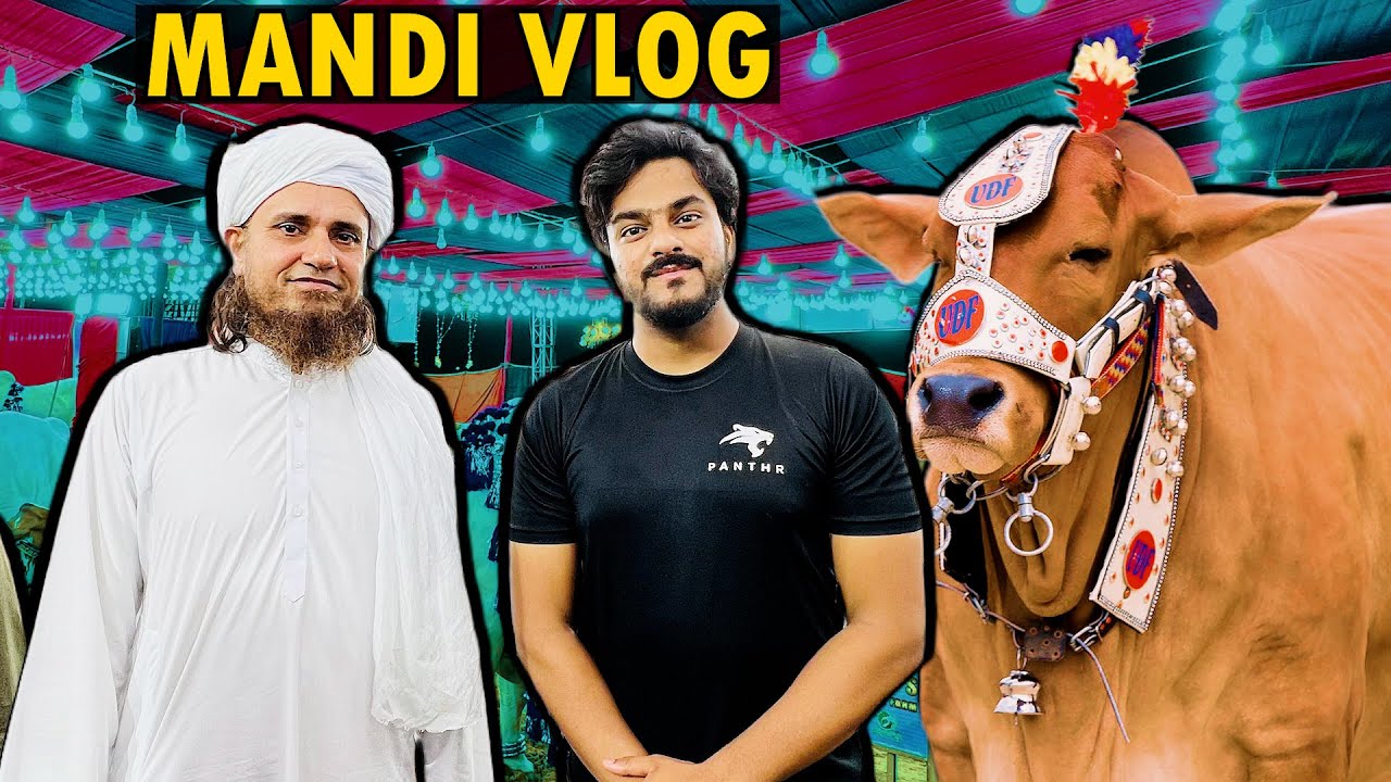Sohrab Goat Mandi me Mufti Tariq Masood Mil Gae | Bakra Eid Vlog - YouTube