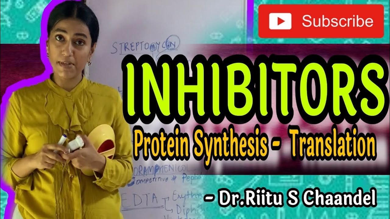 Inhibitors of protein synthesis,inhibitors of translation,protein ...