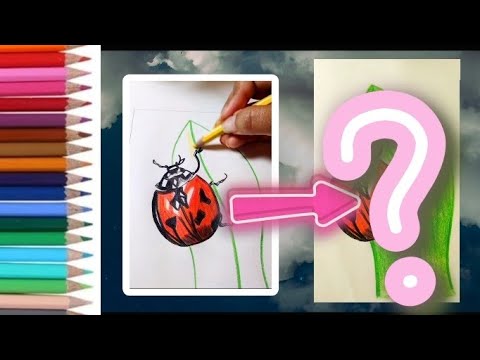 2D Realistic Drawing of BEETAL🪲 || Pencil Colour Drawing for BEGINNERS ...