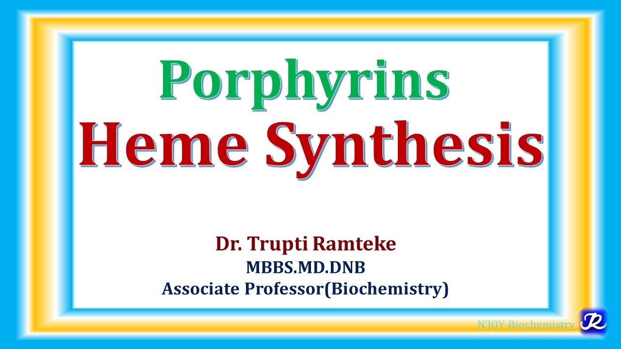 Porphyrins & Heme Synthesis | hemoglobin Chemistry & Metabolism ...