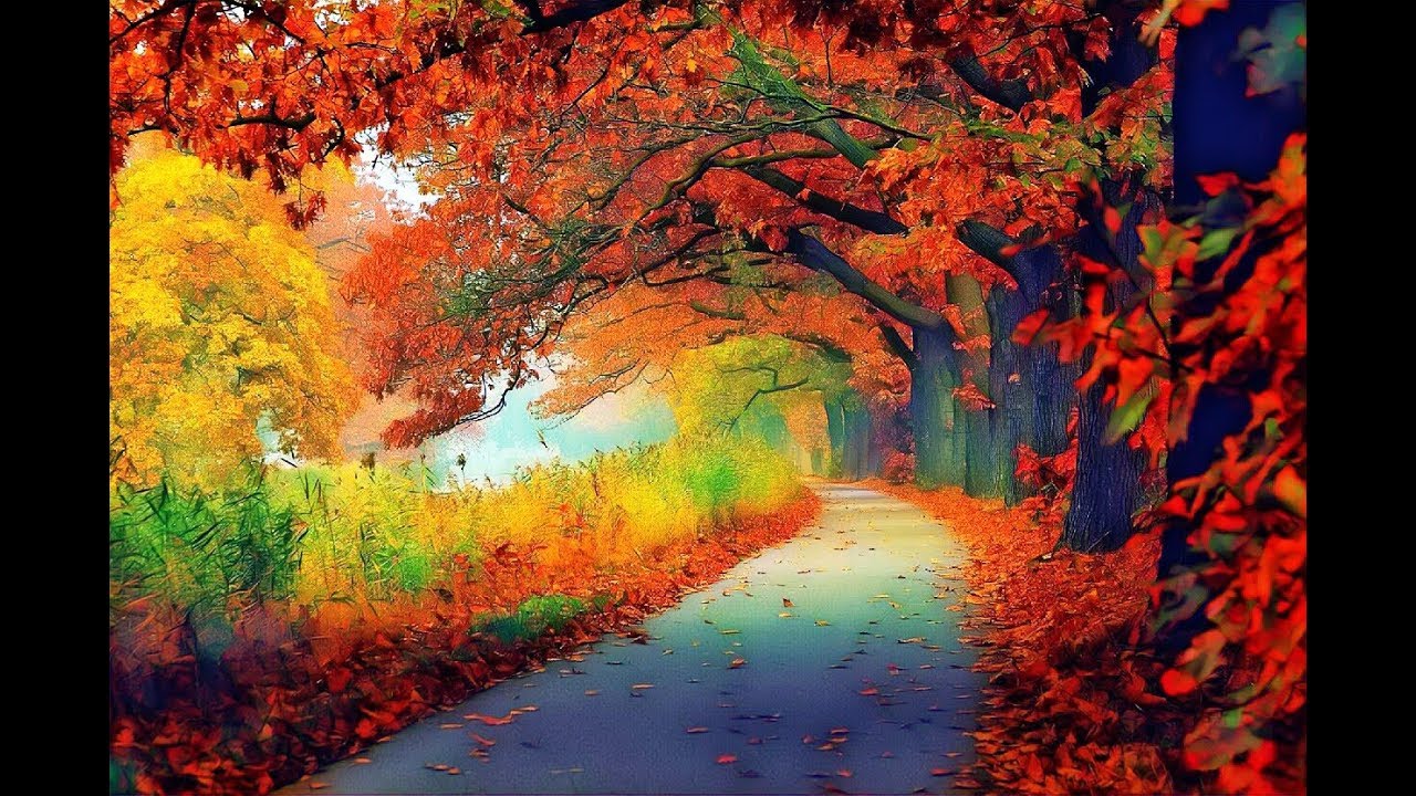 Ennum Varum Vazhi Vakkil 💕 New WhatsApp Status💖 - YouTube