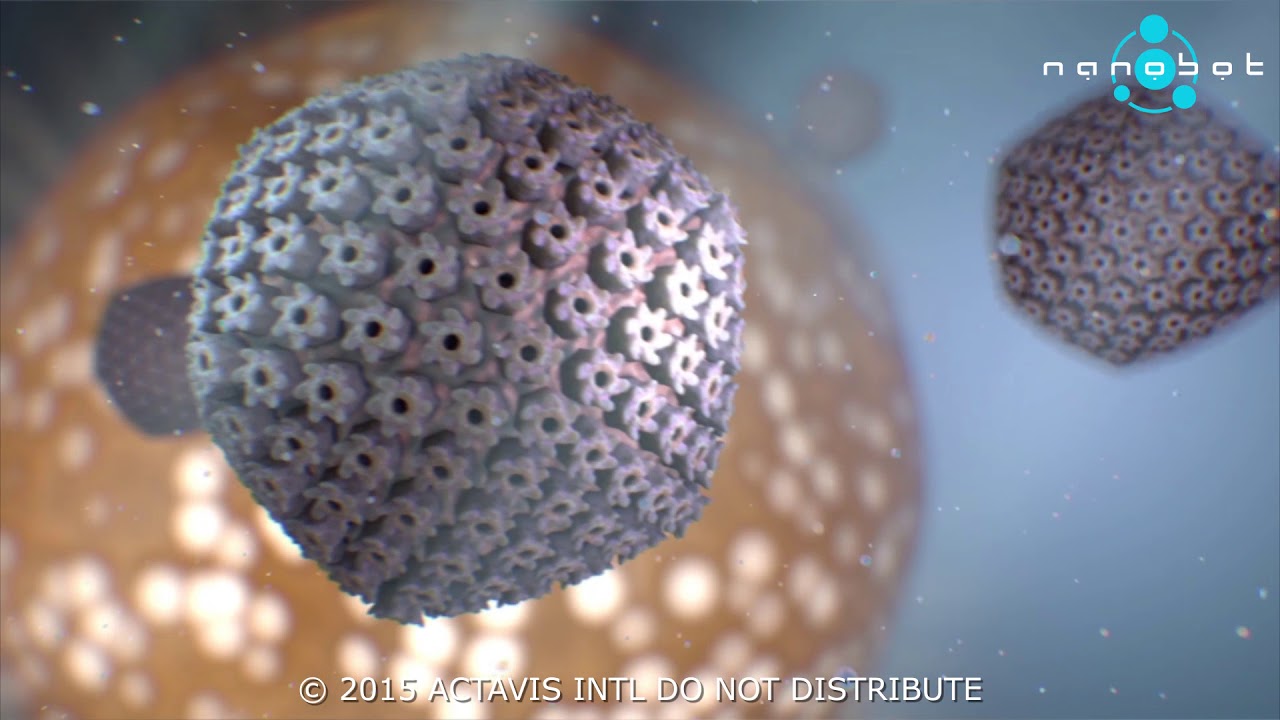Herpes Simplex Virus characteristics - 3D medical animation - YouTube