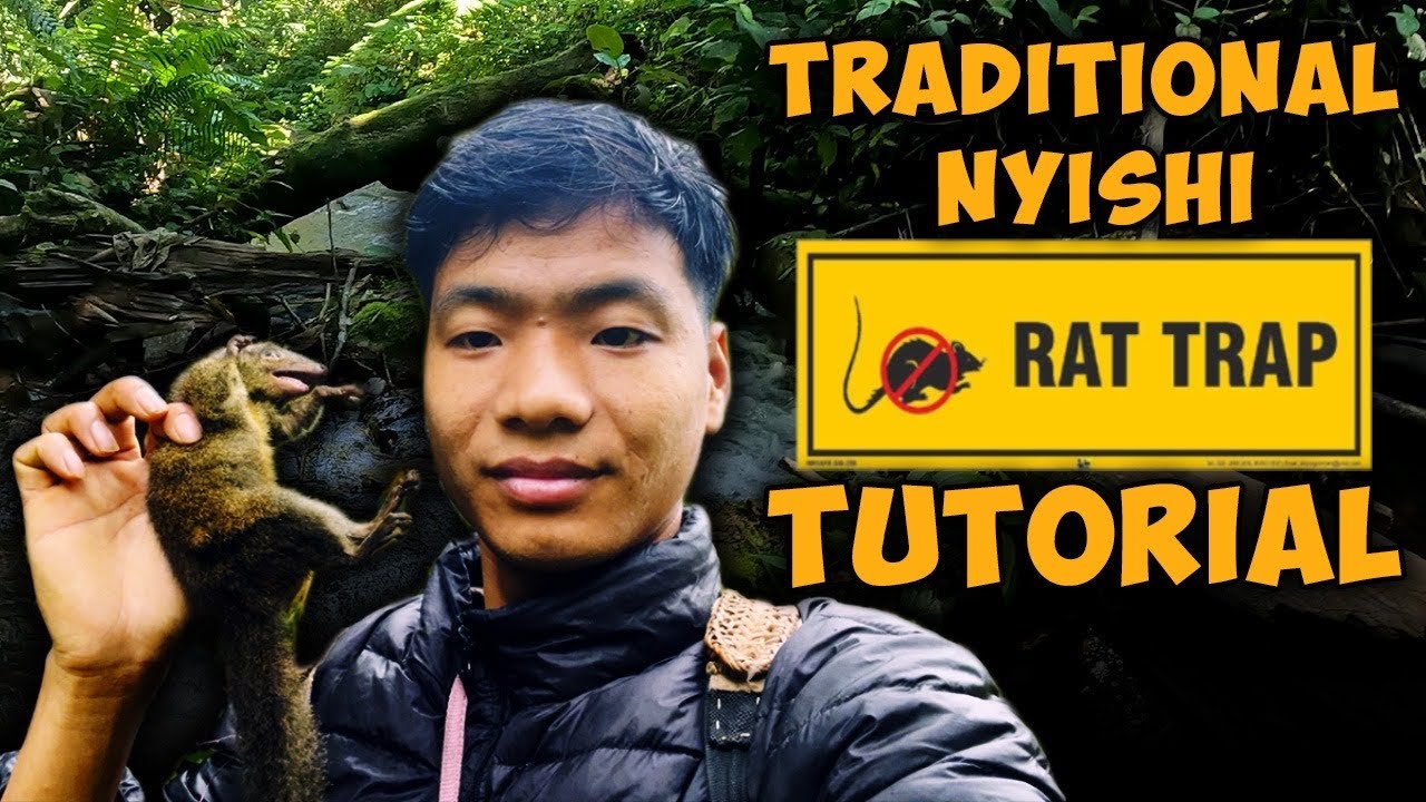 how to make traditional Nyshi rat trap full tutorial #outdooractivities ...