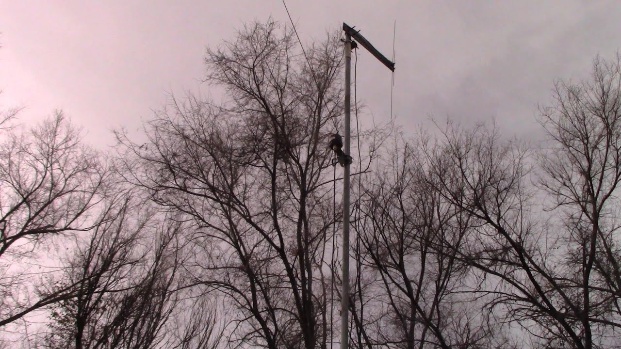 74ft Random Long Wire Antenna - YouTube