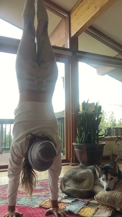 Handstand Flow Shapes & Twerk with AcroSunshine - YouTube