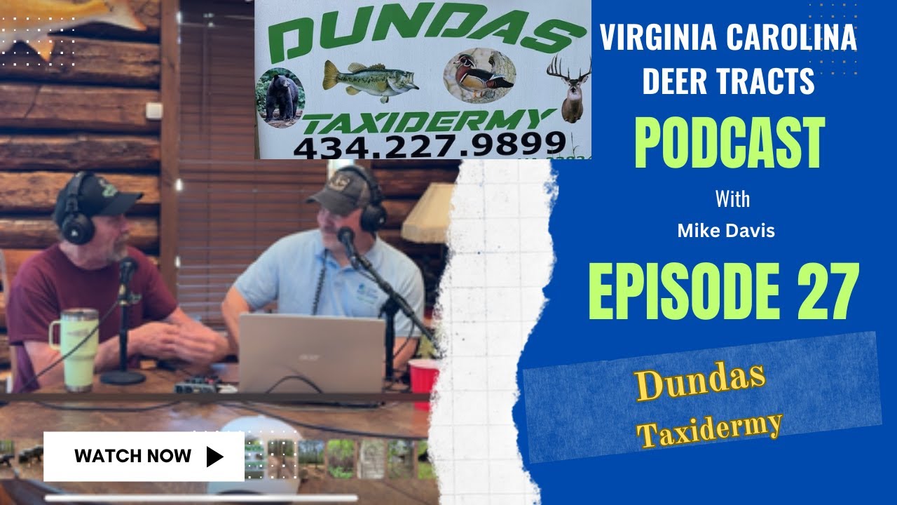 Episode 27: Dundas Taxidermy - YouTube